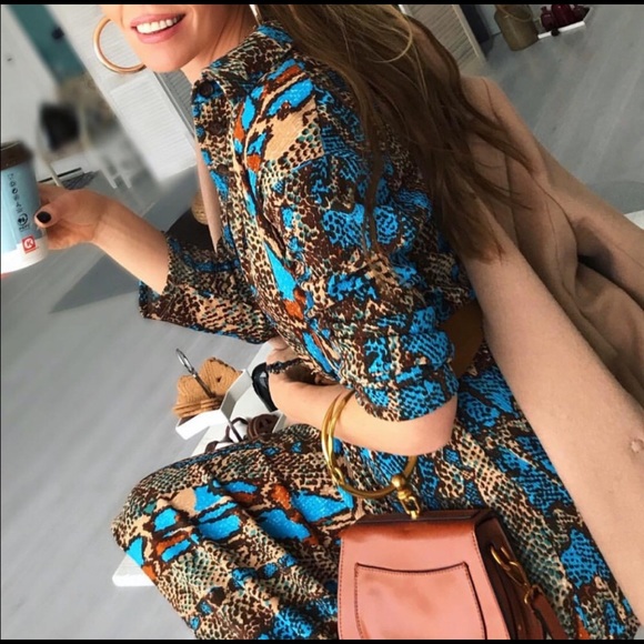 Zara | Dresses | Zara Snakeskin Print Dress Nwt | Poshmark